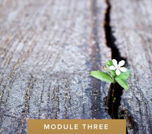 TSM Complete Reg Page - David Treleaven