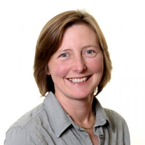 New home page - David Treleaven