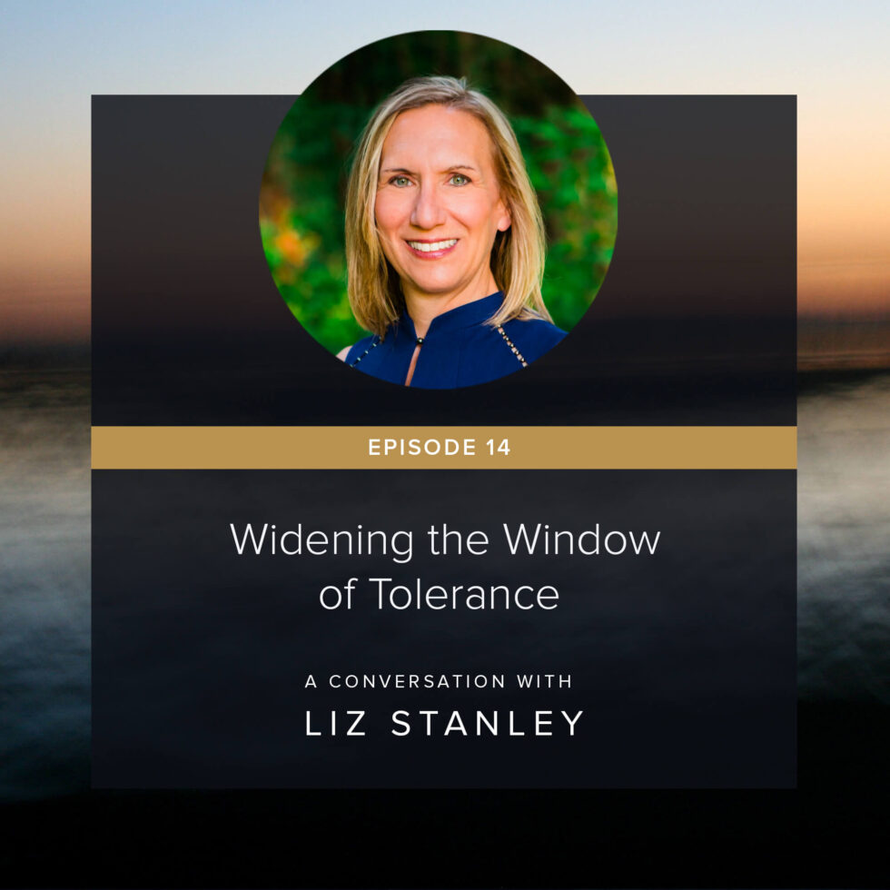 Podcast - David Treleaven